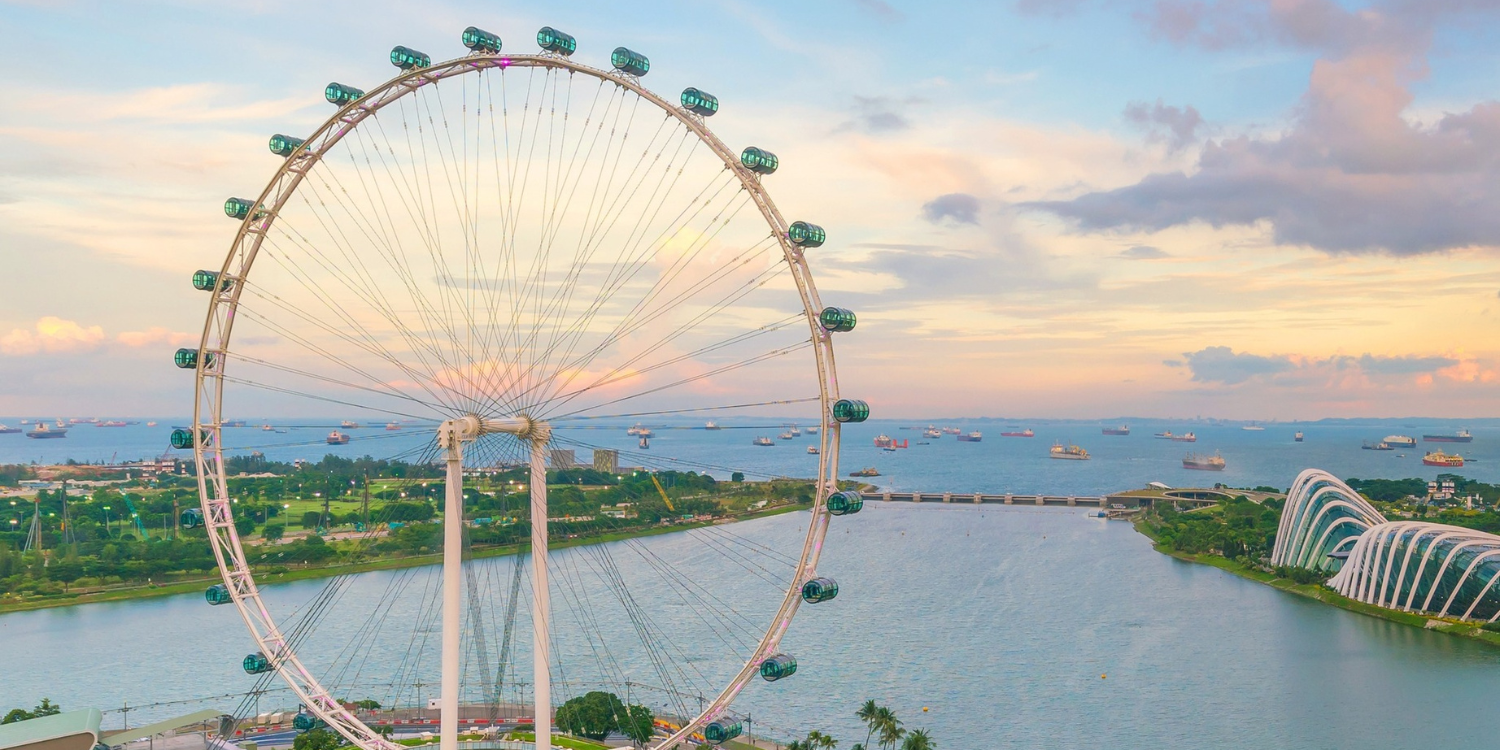 Singapore flyer temporarily suspends operations as ‘precautionary ...