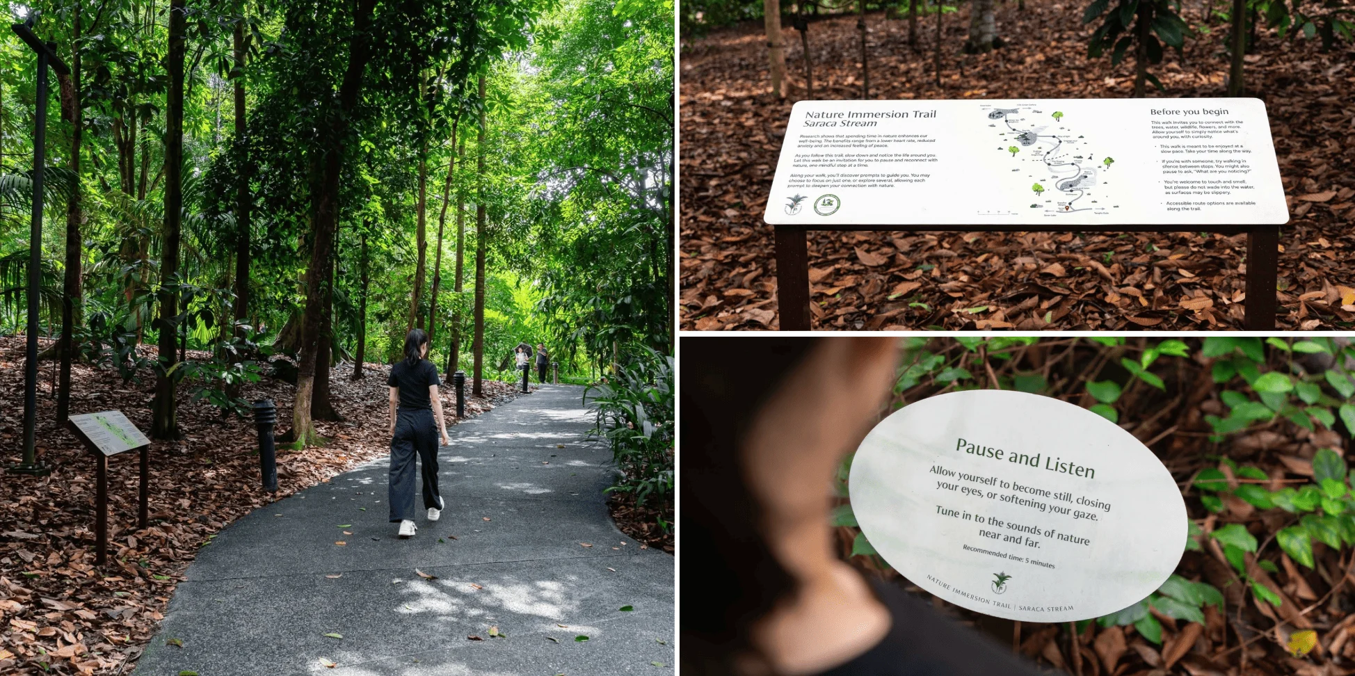 S’pore botanic gardens opens Asia’s first certified nature immersion ...