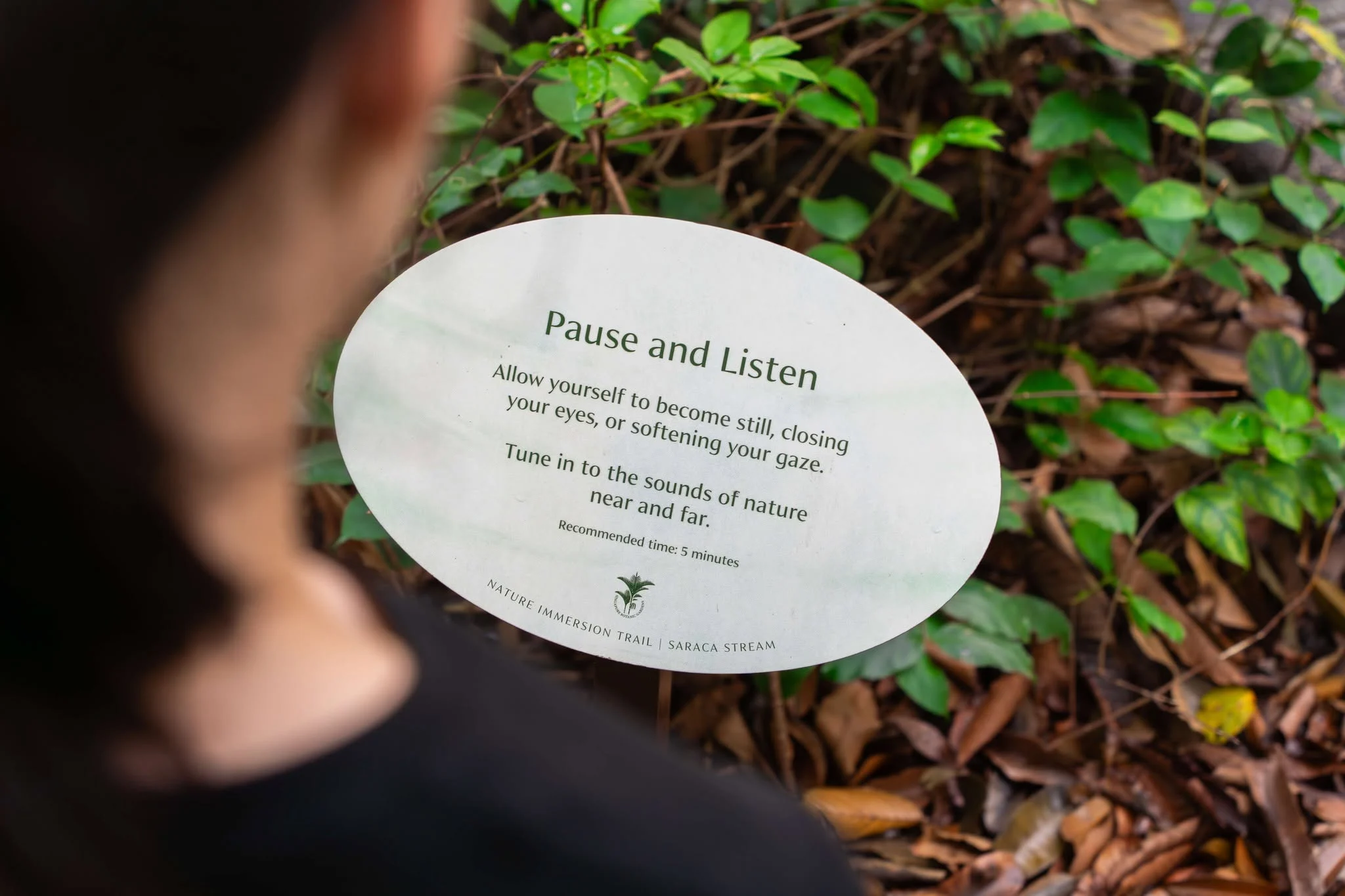 S’pore botanic gardens opens Asia’s first certified nature immersion ...
